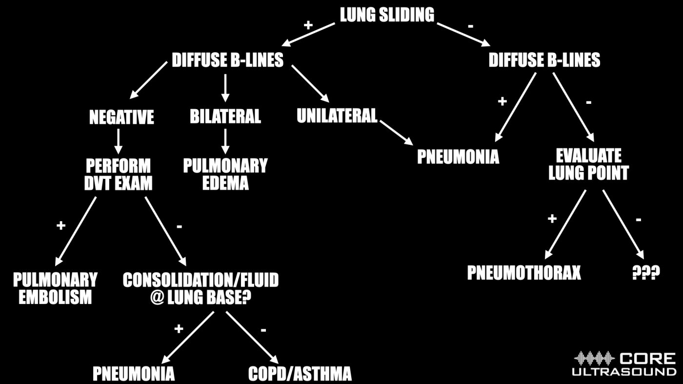 5 Minute Sono – BLUE Protocol (2020) - Core Ultrasound