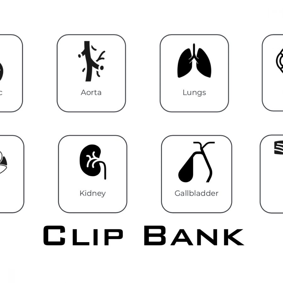 Clip Bank - Core Ultrasound
