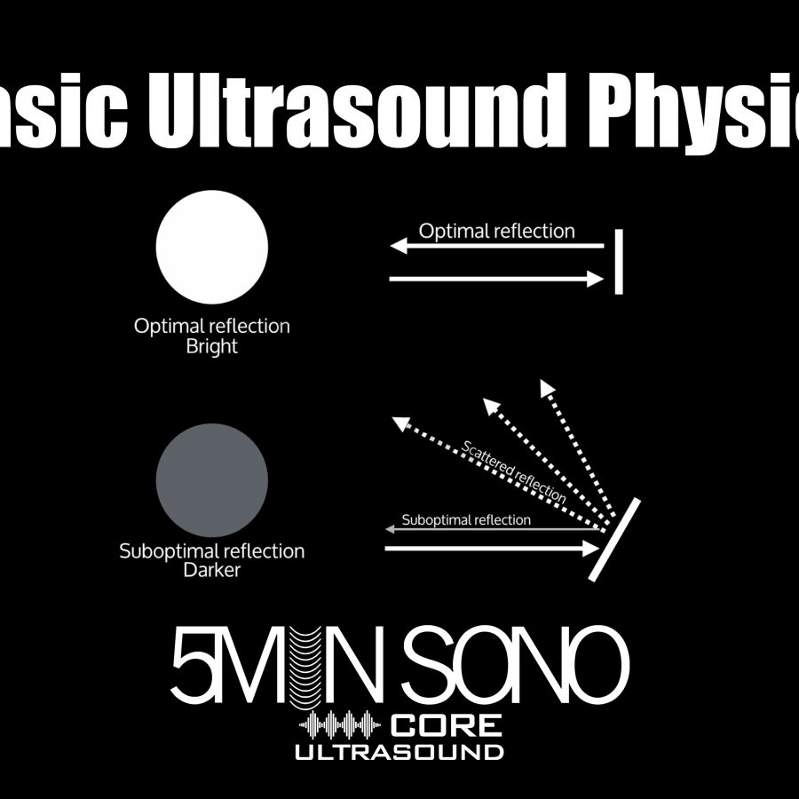 5 Min Sono – RUSH exam (2021) - Core Ultrasound