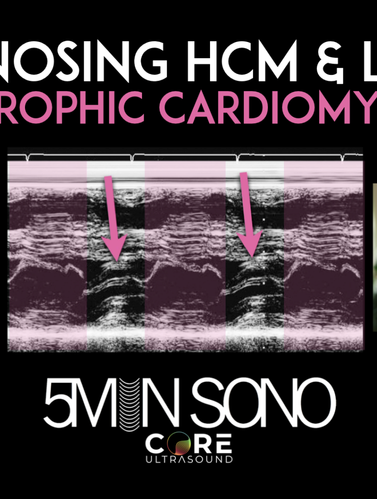 5 Minute Sono - Core Ultrasound